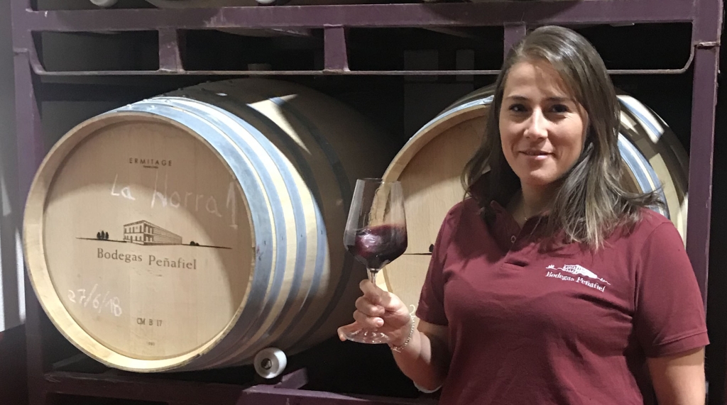 Miros de Ribera, Ribera del Duero, Spanje – Tamis Vino Via Wijnen